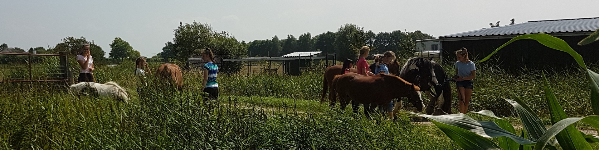 Dagbesteding kinderen en volwassenen - Stichting op je Gemak